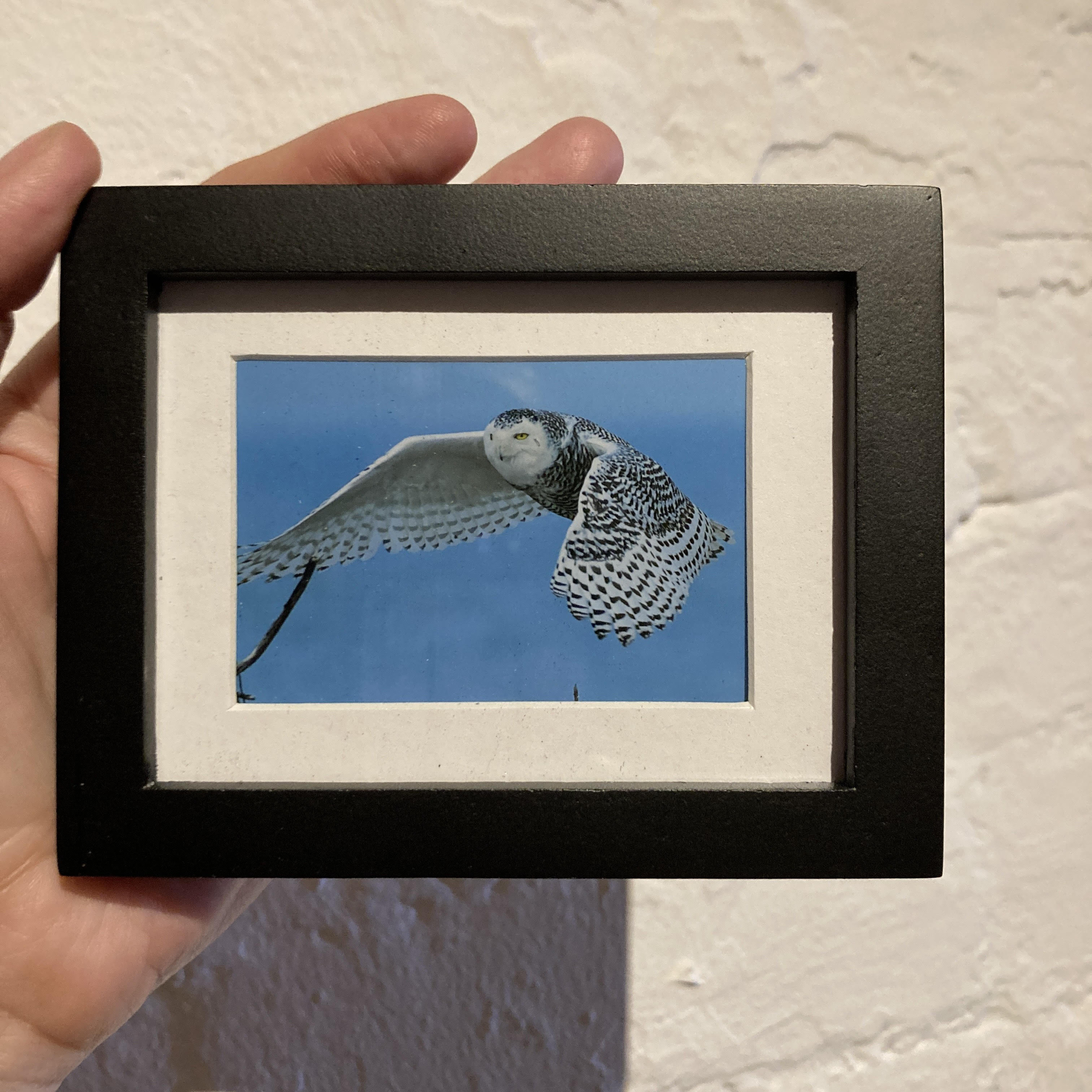 Take Off Mini – Glass Growers Gallery & Gifts